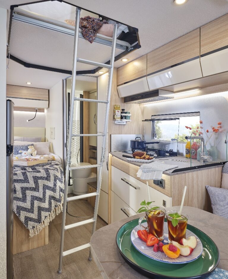 Florium Baxter 64 Ldf Pop Toit Relevable - Fleurette Florium