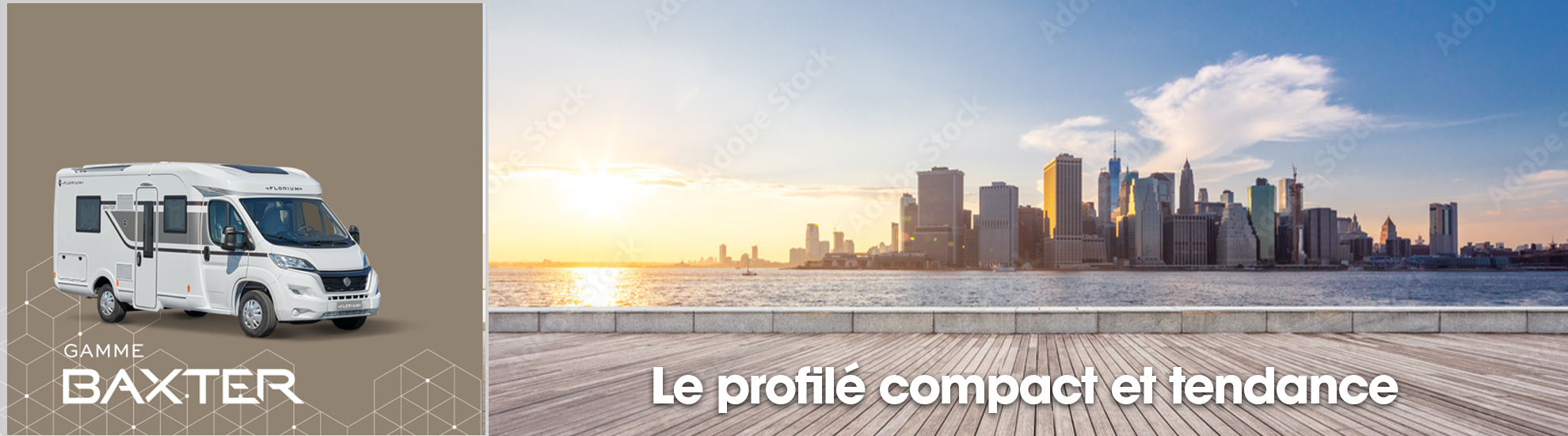 baxter - Fleurette Florium